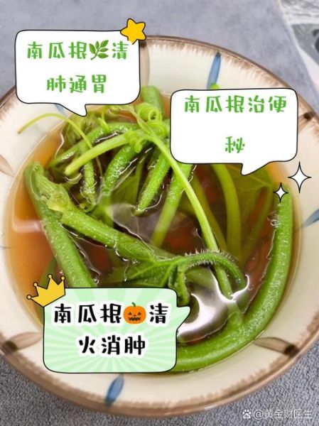 喝南瓜藤水结石散开了_南瓜藤水真的能化石吗-第2张图片-山城妙识 喝南瓜藤水结石散开了_南瓜藤水真的能化石吗-第2张图片-山城妙识