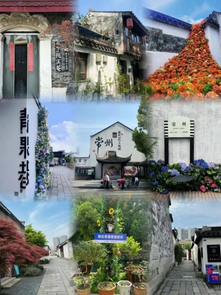 青果巷在哪里_青果巷有什么好玩的-第2张图片-山城妙识