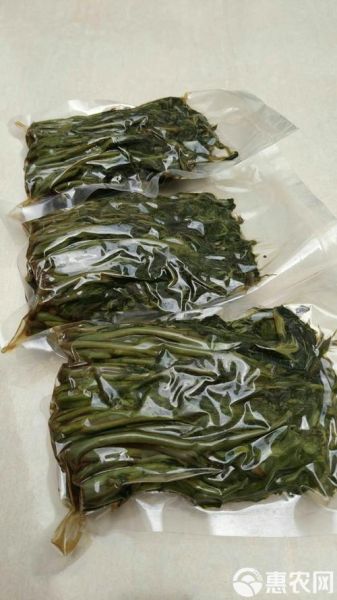 香椿芽怎么保存_香椿芽冷藏还是冷冻-第3张图片-山城妙识