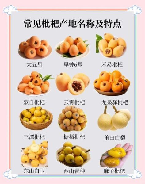 新鲜枇杷的功效与作用_枇杷怎么吃润肺止咳-第1张图片-山城妙识 新鲜枇杷的功效与作用_枇杷怎么吃润肺止咳-第1张图片-山城妙识