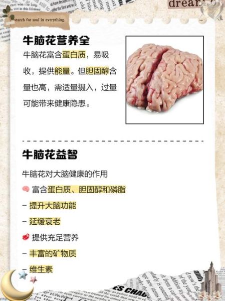 牛脑的功效与作用_牛脑怎么吃最补脑-第1张图片-山城妙识 牛脑的功效与作用_牛脑怎么吃最补脑-第1张图片-山城妙识