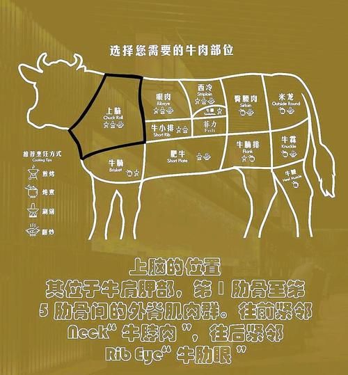 牛脑的功效与作用_牛脑怎么吃最补脑-第2张图片-山城妙识 牛脑的功效与作用_牛脑怎么吃最补脑-第2张图片-山城妙识