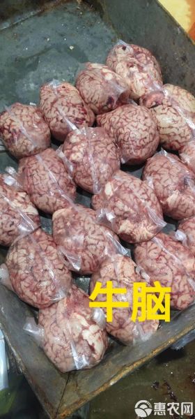 牛脑的功效与作用_牛脑怎么吃最补脑-第3张图片-山城妙识 牛脑的功效与作用_牛脑怎么吃最补脑-第3张图片-山城妙识