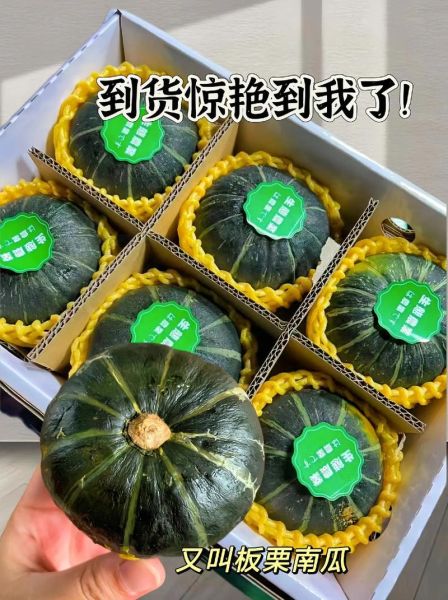 贝贝板栗南瓜的功效与作用_孕妇能吃吗-第1张图片-山城妙识