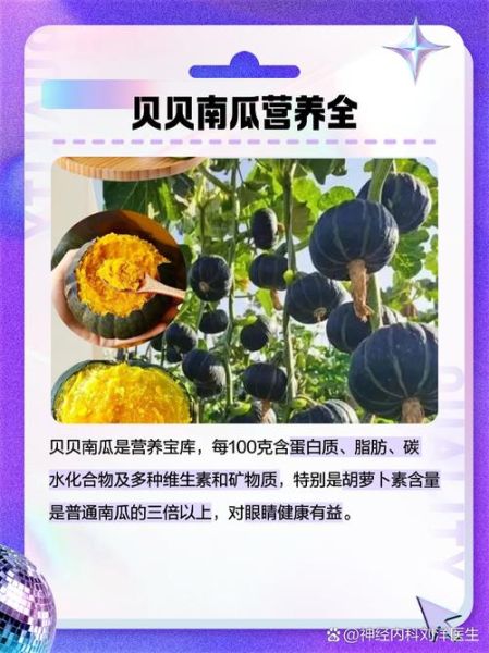 贝贝板栗南瓜的功效与作用_孕妇能吃吗-第2张图片-山城妙识