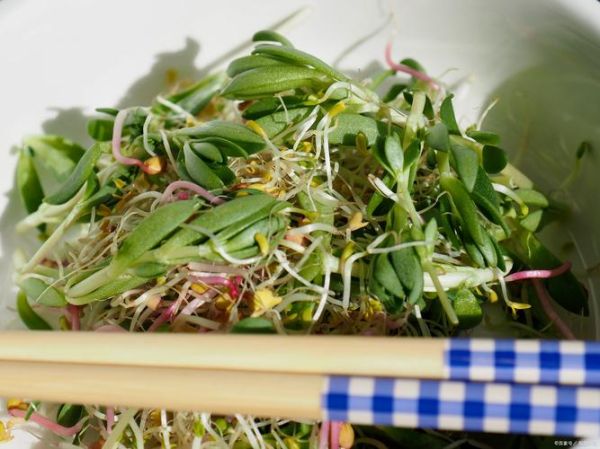 蒲公英怎么吃_蒲公英的做法大全-第3张图片-山城妙识