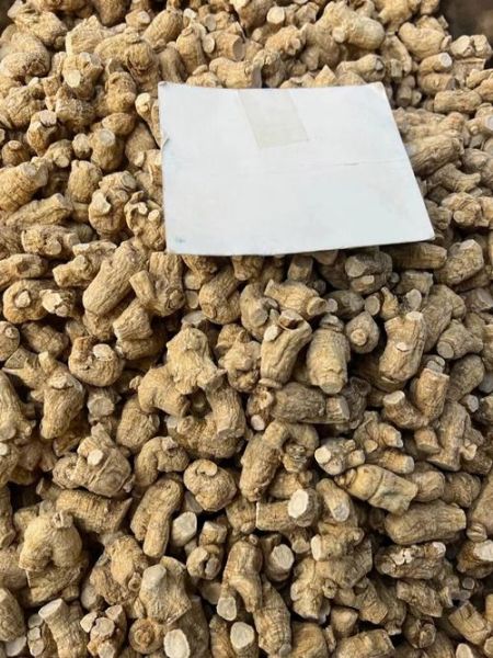 花旗参的功效与作用禁忌_哪些人不能吃花旗参-第3张图片-山城妙识 花旗参的功效与作用禁忌_哪些人不能吃花旗参-第3张图片-山城妙识