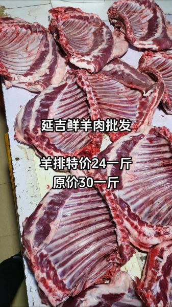 羊排多少钱一斤_羊排价格为什么差别大-第1张图片-山城妙识