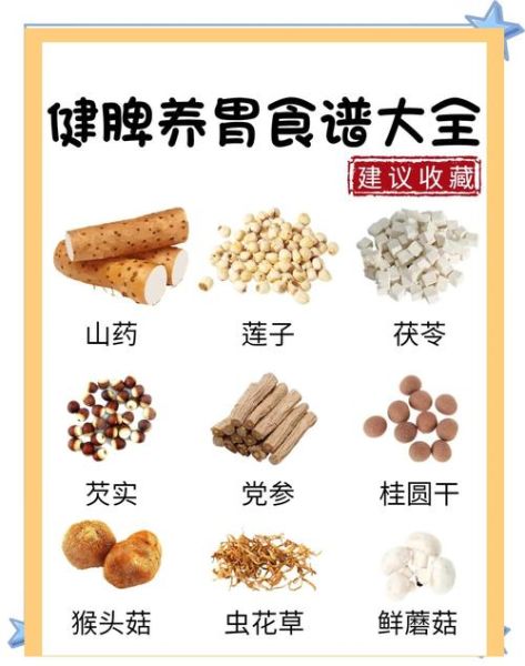 吃什么食物养胃护胃_胃不好一日三餐怎么吃-第3张图片-山城妙识