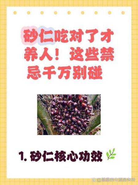 砂仁什么人不能吃_砂仁的禁忌与副作用-第2张图片-山城妙识