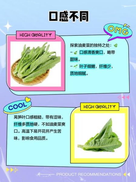 油麦菜和莴笋叶的区别图片_怎么区分油麦菜和莴笋叶-第2张图片-山城妙识