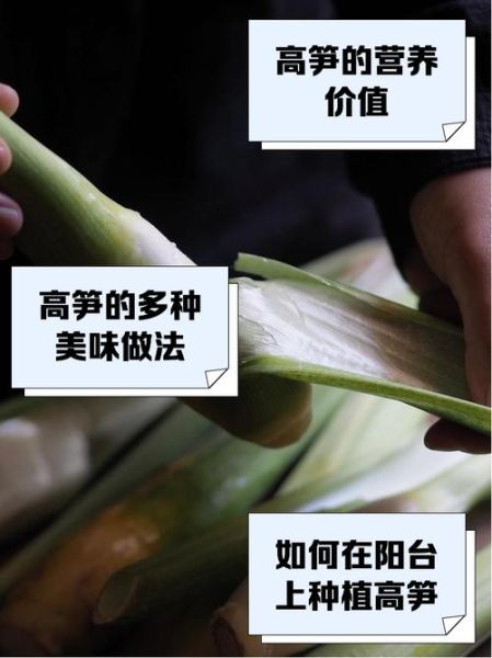 炒高笋需要焯水吗_高笋焯水几分钟-第3张图片-山城妙识