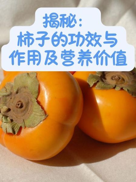 柿子有什么功效_吃柿子能降火吗-第1张图片-山城妙识