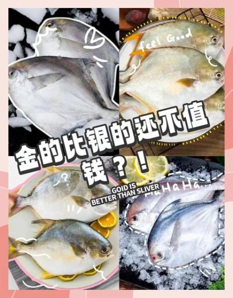银鲳鱼和金鲳鱼的区别_哪个更好吃-第1张图片-山城妙识 银鲳鱼和金鲳鱼的区别_哪个更好吃-第1张图片-山城妙识