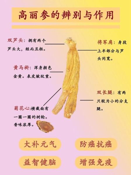 高丽参图片真假辨别_高丽参功效与作用有哪些-第1张图片-山城妙识 高丽参图片真假辨别_高丽参功效与作用有哪些-第1张图片-山城妙识