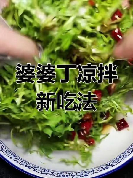 婆婆丁怎么吃_婆婆丁的吃法大全-第2张图片-山城妙识