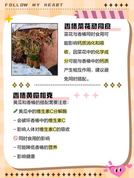 香椿不能和什么一起吃_香椿的禁忌人群-第2张图片-山城妙识