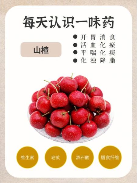 山楂的功效与作用_山楂主治什么病-第3张图片-山城妙识