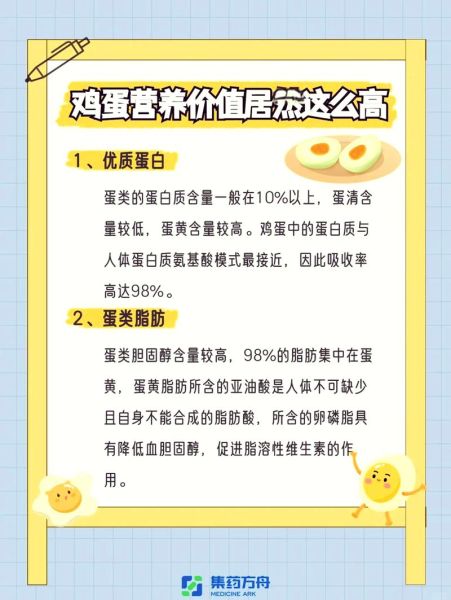 鸡蛋营养价值有哪些_鸡蛋的功效与作用是什么-第1张图片-山城妙识