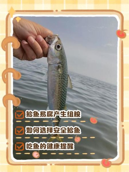 鲐鱼怎么读_鲐鱼是什么鱼-第3张图片-山城妙识