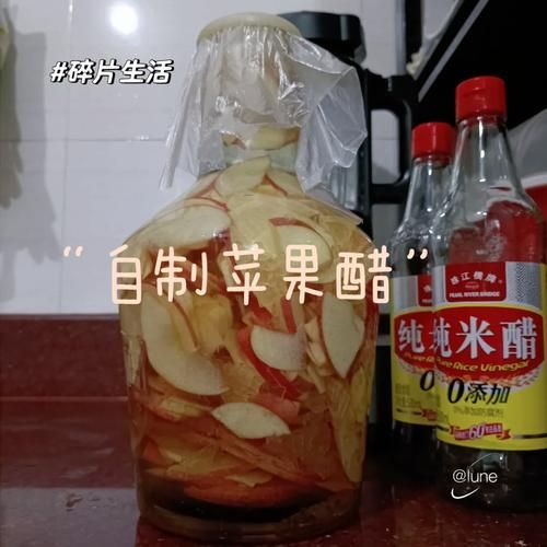 苹果醋的做法_自制苹果醋能保存多久-第2张图片-山城妙识