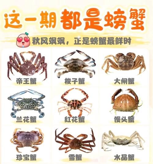 螃蟹一次吃五只可以吗_螃蟹吃多了会怎样-第1张图片-山城妙识 螃蟹一次吃五只可以吗_螃蟹吃多了会怎样-第1张图片-山城妙识