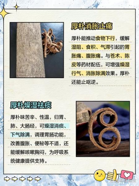 厚朴的功效与作用有哪些_厚朴如何正确服用-第2张图片-山城妙识