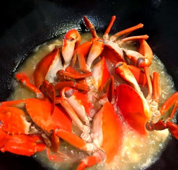 小菜鲟是什么_小菜鲟怎么做好吃-第2张图片-山城妙识