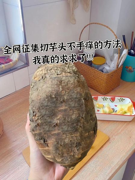 芋艿头怎么做好吃_芋艿头去皮妙招-第2张图片-山城妙识
