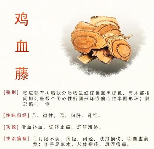 鸡血藤的功效与作用及禁忌_鸡血藤适合什么人吃-第3张图片-山城妙识