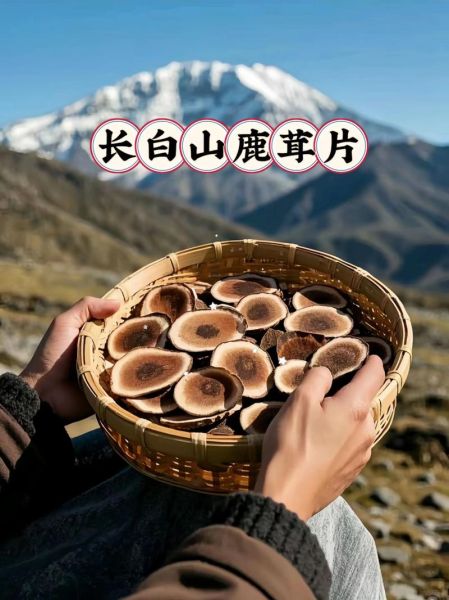 鹿茸片泡水一次喝多久_鹿茸片泡水多久见效-第3张图片-山城妙识