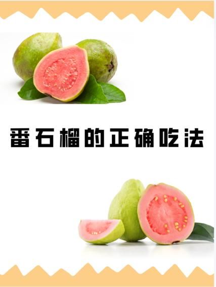 番石榴怎么吃_番石榴的正确吃法大全-第2张图片-山城妙识