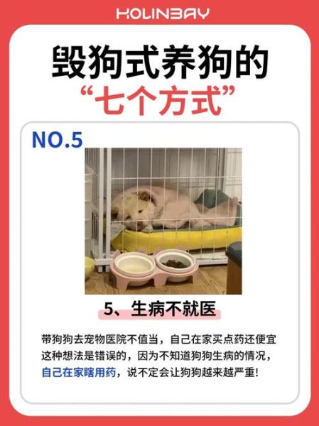 如何安全杀狗_杀狗方法有哪些-第2张图片-山城妙识