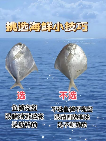 海鲜图片大全_如何挑选新鲜海鲜-第2张图片-山城妙识 海鲜图片大全_如何挑选新鲜海鲜-第2张图片-山城妙识