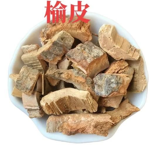 榆树皮的功效与作用_榆树皮禁忌有哪些-第2张图片-山城妙识 榆树皮的功效与作用_榆树皮禁忌有哪些-第2张图片-山城妙识