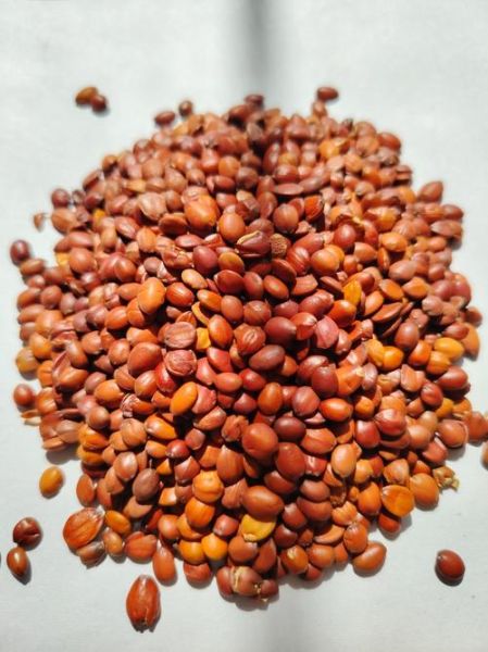 邢台特产有哪些土特产_邢台土特产哪里买最正宗-第2张图片-山城妙识