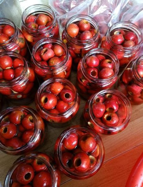 山楂罐头怎么做_山楂罐头家庭保存方法-第1张图片-山城妙识