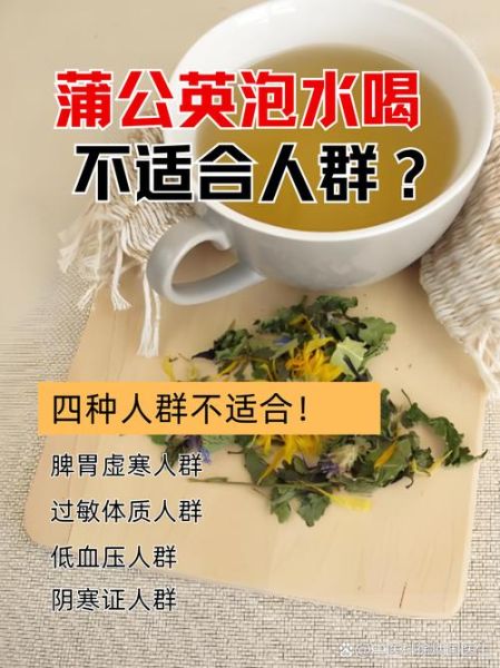 蒲公英泡水哪些人不能喝_孕妇低血压人群禁忌-第2张图片-山城妙识 蒲公英泡水哪些人不能喝_孕妇低血压人群禁忌-第2张图片-山城妙识