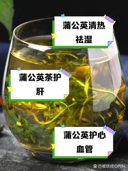 蒲公英泡水哪些人不能喝_孕妇低血压人群禁忌-第3张图片-山城妙识 蒲公英泡水哪些人不能喝_孕妇低血压人群禁忌-第3张图片-山城妙识