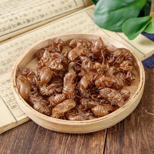 知了壳怎么食用_知了壳食用方法大全-第2张图片-山城妙识