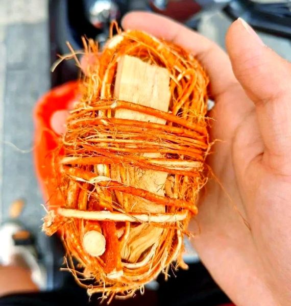 正宗五指毛桃图片长什么样_如何辨别真假-第3张图片-山城妙识