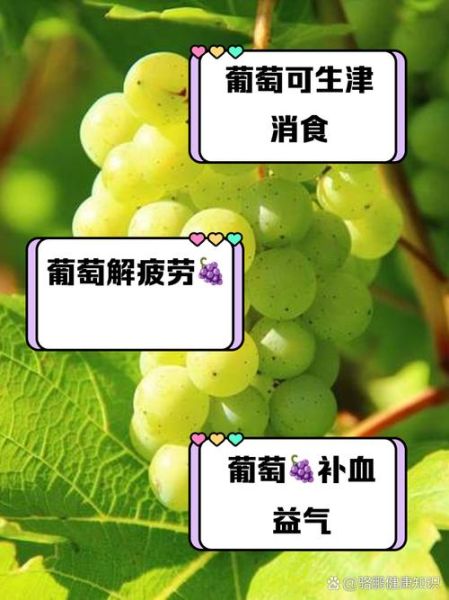 葡萄的营养价值_吃葡萄有什么好处-第1张图片-山城妙识