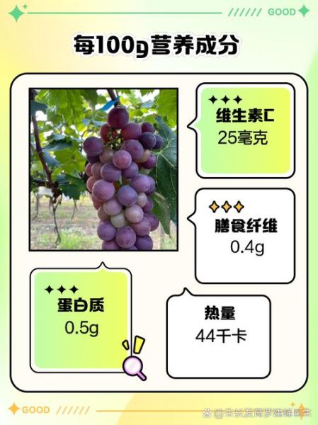 葡萄的营养价值_吃葡萄有什么好处-第3张图片-山城妙识