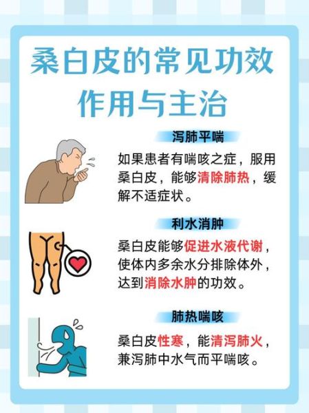 桑白皮汤的功效与作用_桑白皮汤怎么喝-第3张图片-山城妙识