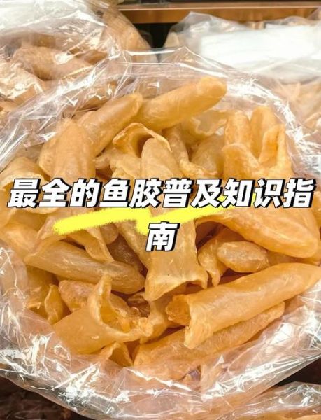鱼胶是鱼泡吗_鱼胶和鱼鳔的区别-第2张图片-山城妙识
