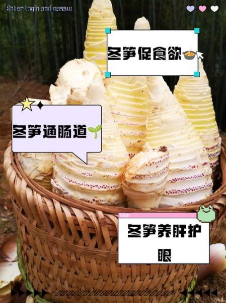 冬笋粉的功效与作用_冬笋粉怎么吃效果最好-第3张图片-山城妙识 冬笋粉的功效与作用_冬笋粉怎么吃效果最好-第3张图片-山城妙识