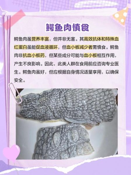 鳄鱼肉可以吃吗_鳄鱼肉营养价值-第2张图片-山城妙识