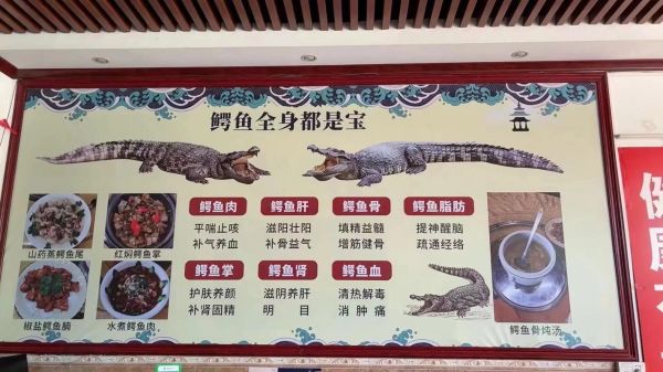 鳄鱼肉可以吃吗_鳄鱼肉营养价值-第3张图片-山城妙识