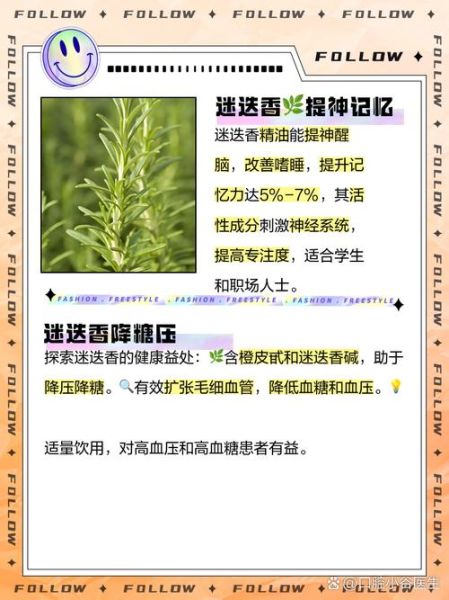 迷迭香茶的功效与作用及禁忌_迷迭香茶什么人不能喝-第2张图片-山城妙识 迷迭香茶的功效与作用及禁忌_迷迭香茶什么人不能喝-第2张图片-山城妙识