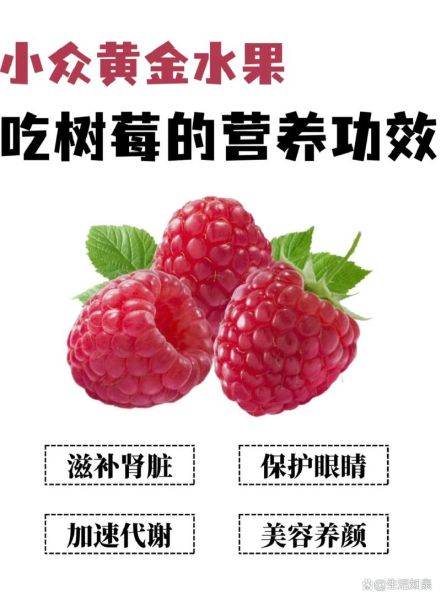 覆盆子和树莓的区别_哪个营养价值更高-第1张图片-山城妙识 覆盆子和树莓的区别_哪个营养价值更高-第1张图片-山城妙识